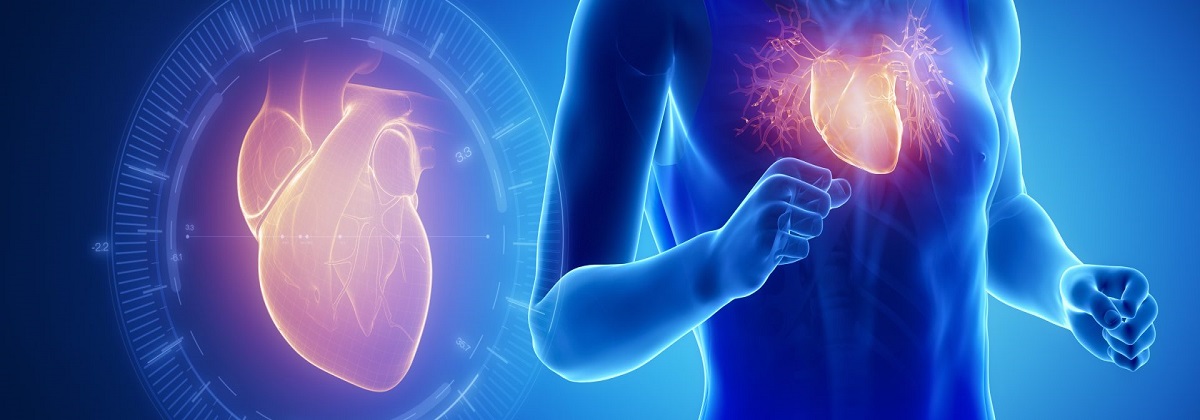 CARDIOLOGY - Asha The Hope